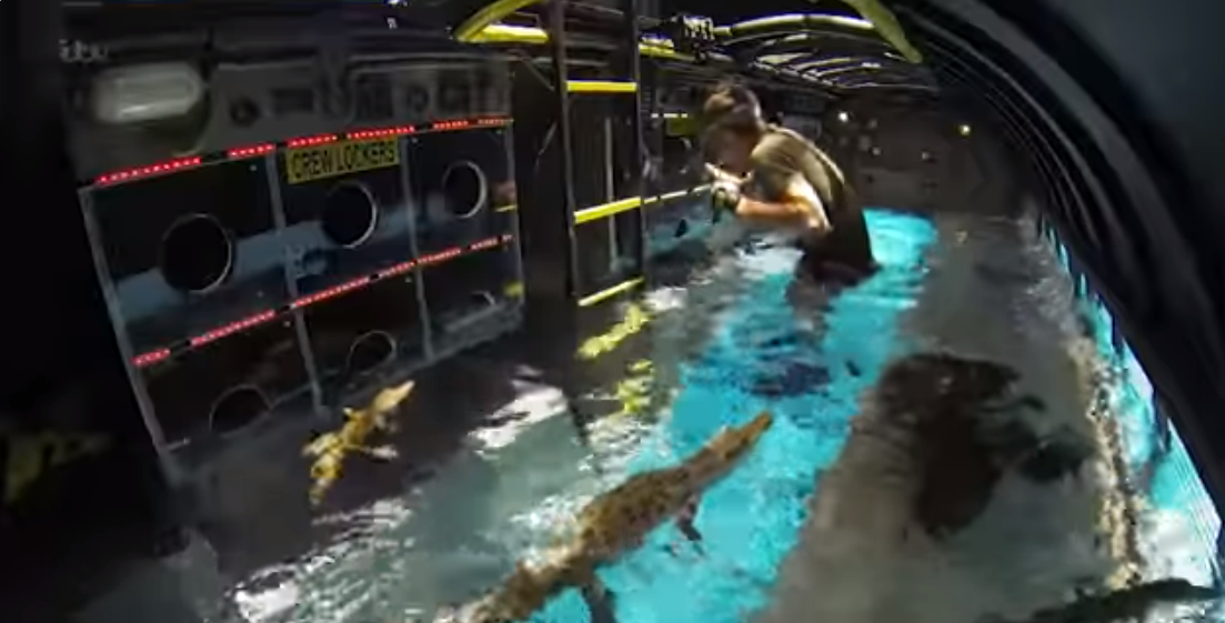 I’m A Celebrity: The 10 most memorable challenges | The Independent